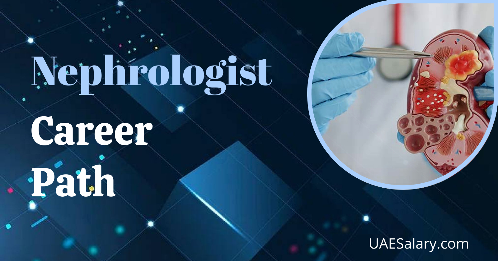 Nephrologist Career Path: Opportunities and Progression