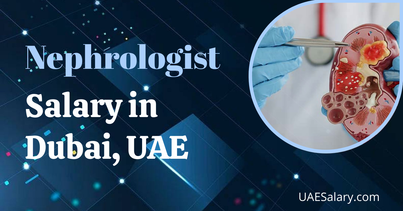 Nephrologist Salary in Dubai/UAE | 2026